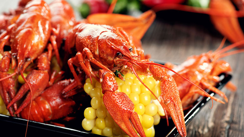 Wakker Dier: 'Stop met onverdoofd slachten vis' - Radar - het ...