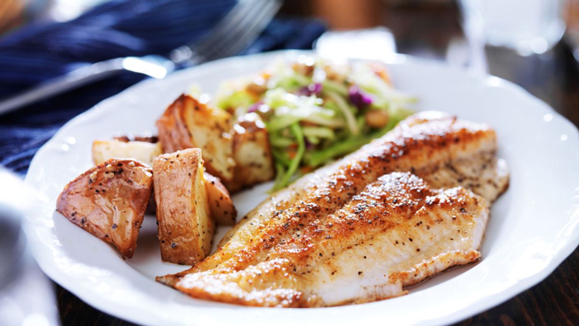 Vette vis kan risico op oogziekte halveren - Radar - het ...