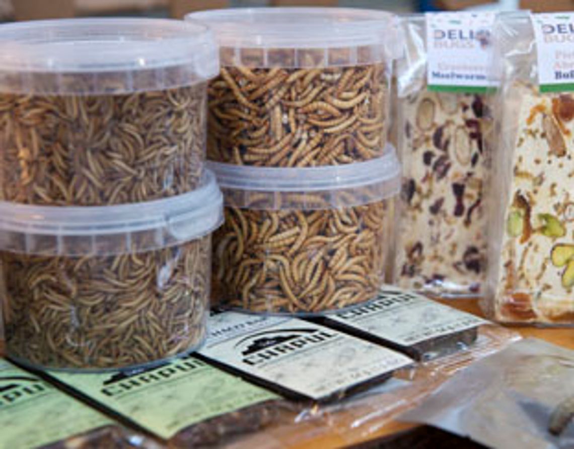 Jumbo legt eetbare insecten in de schappen - Radar - het ...