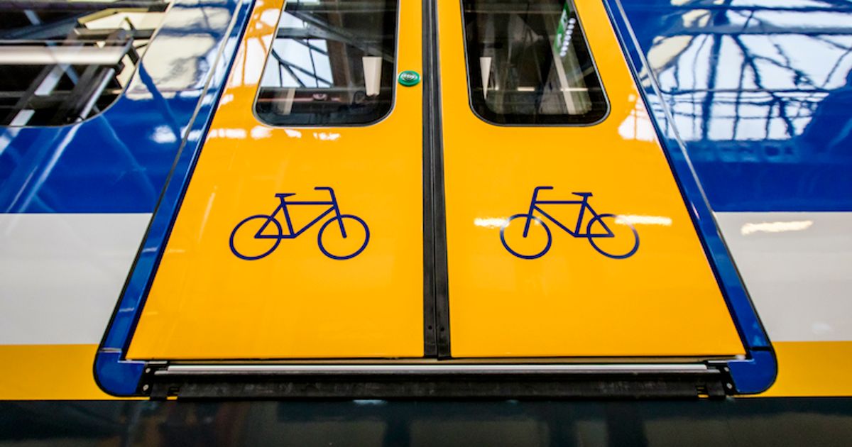 Fiets mee in de NS-trein? Je moet nu reserveren, tot irritatie van ...