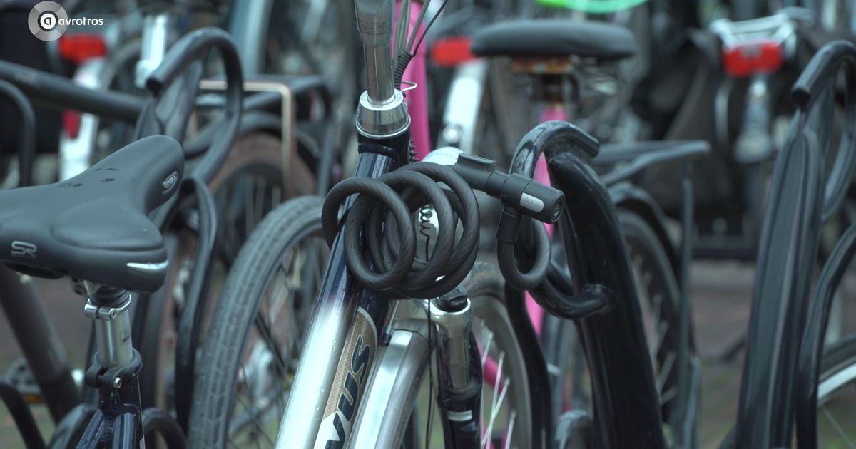 Zo zet je je fiets goed op slot | Radar