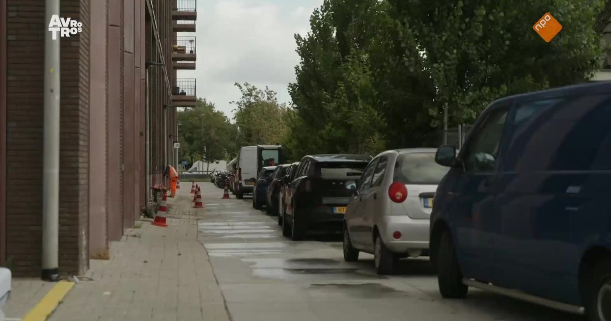 Fragment: Bewoners van Haagse wijk de Binckhorst betalen tot wel 400 euro per maand om te ...