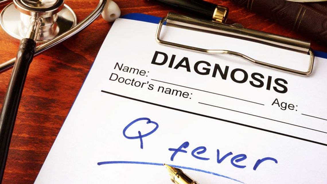 Internist waarschuwt voor behandeling Q-koorts met riskante ...