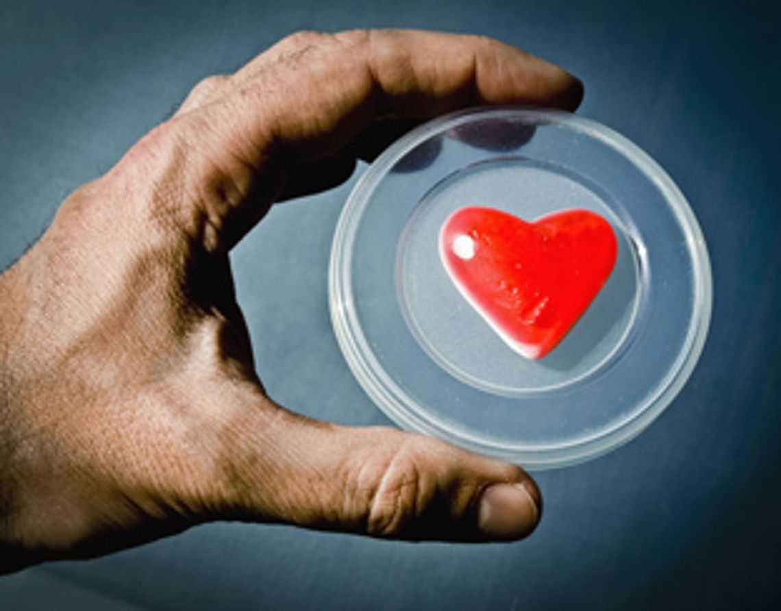 Gemiddelde orgaandonor wordt ouder - Radar - het consumentenprogramma ...